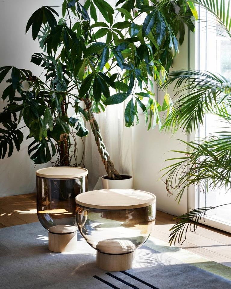 Customizable Mastea Low Coffee Table in Murano Glass and Walnut Base ...