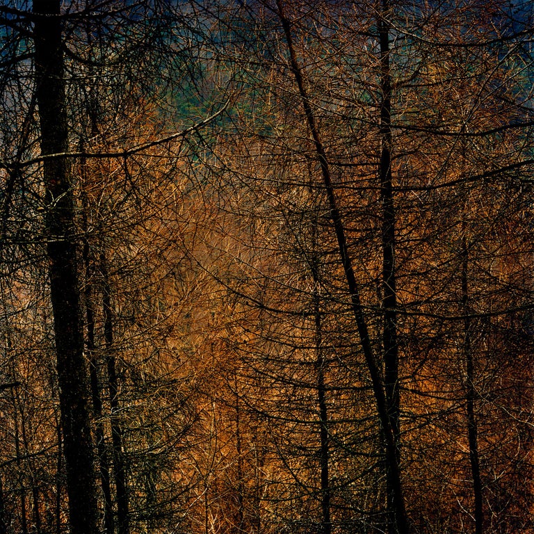 Mat Hennek - CH Gstaad 01 For Sale at 1stDibs