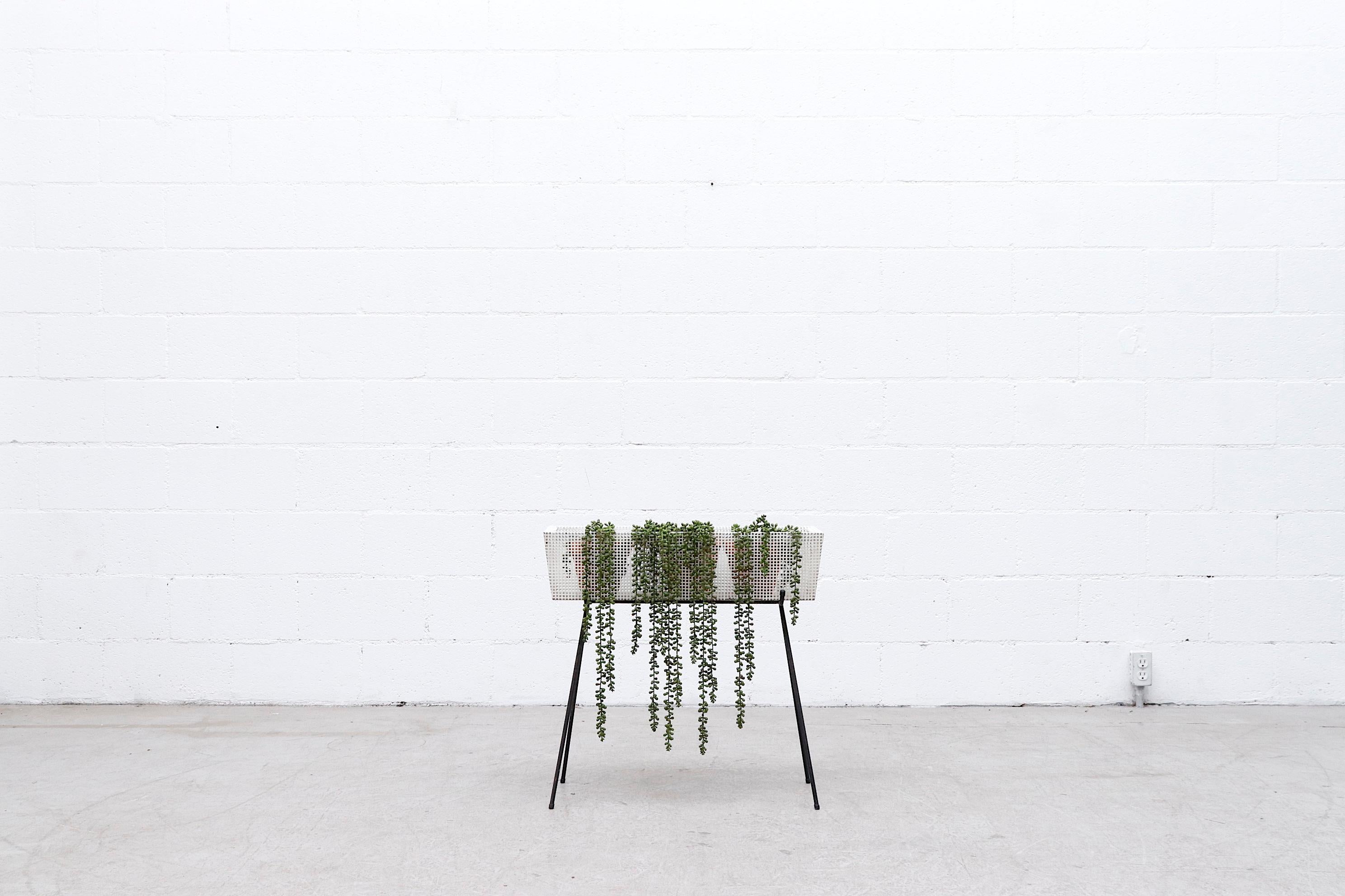 Mathieu Matégot 'Attributed' Perforated Metal Flower Box at 1stDibs ...