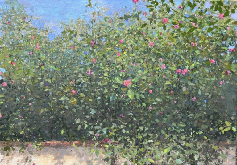 Mathieu Weemaels - Roses behind the Garden Wall For Sale at 1stDibs