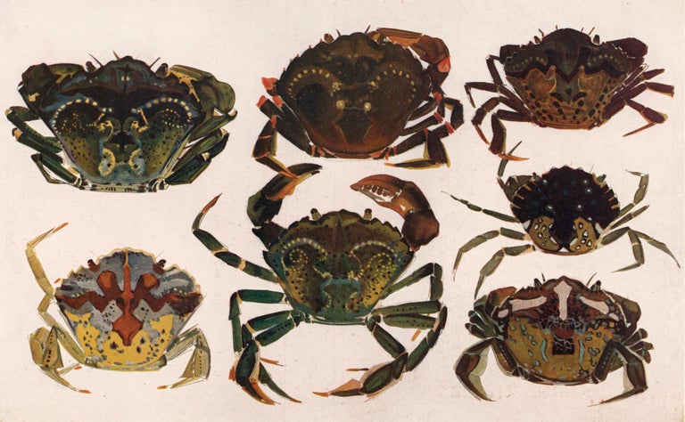 Mathurin Meheut - Crab Print at 1stDibs
