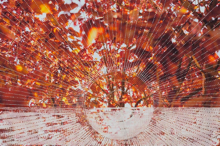 Matt Clark - Warm Toned Abstract Painting on Photograph For Sale at 1stDibs