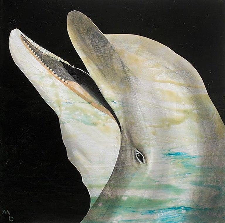 Matthew Dennison - DOLPHIN at 1stDibs
