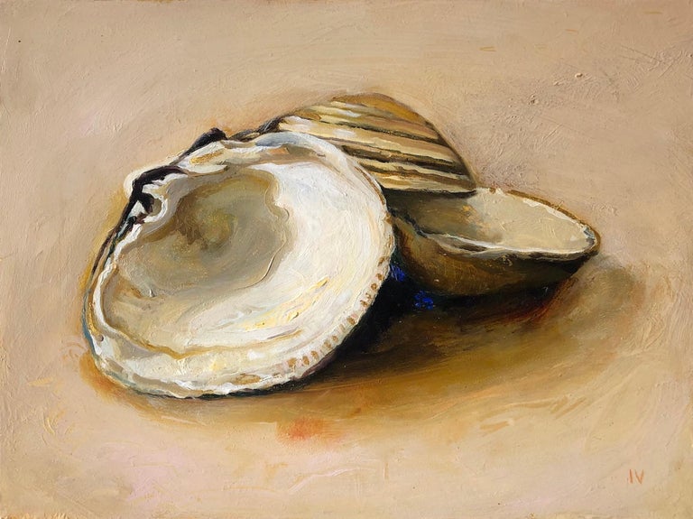 Still Life Photography Shells