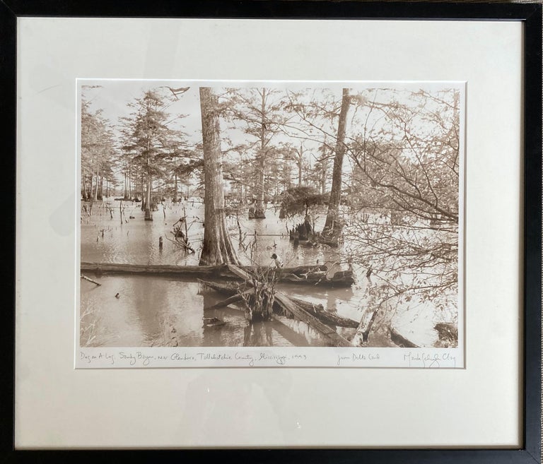 Maude Schuyler Clay - Dog on a Log (Sandy Bayou, Mississippi) at 1stDibs