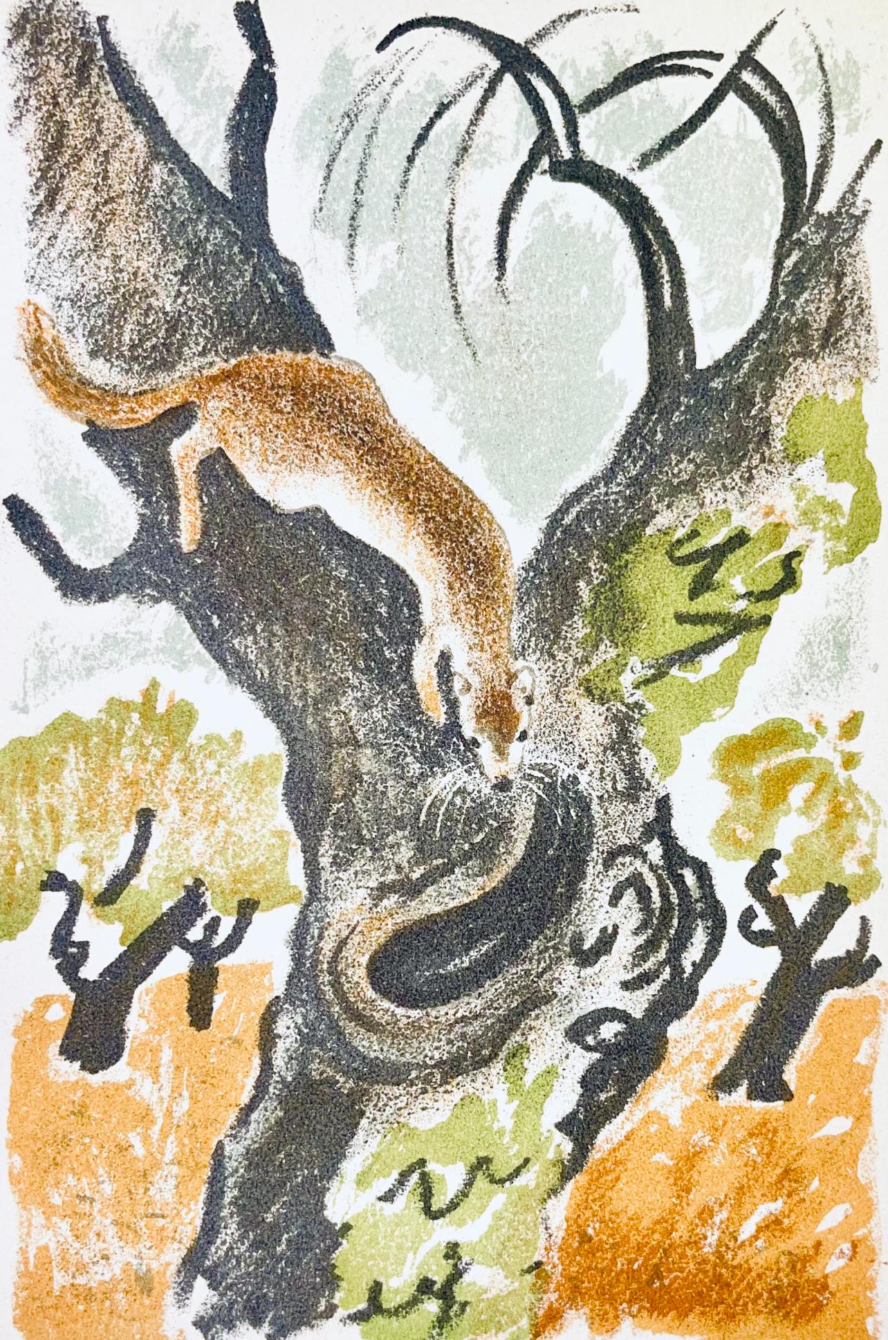 Picasso, Le Papillon, Histoire naturelle (after) For Sale at 1stDibs