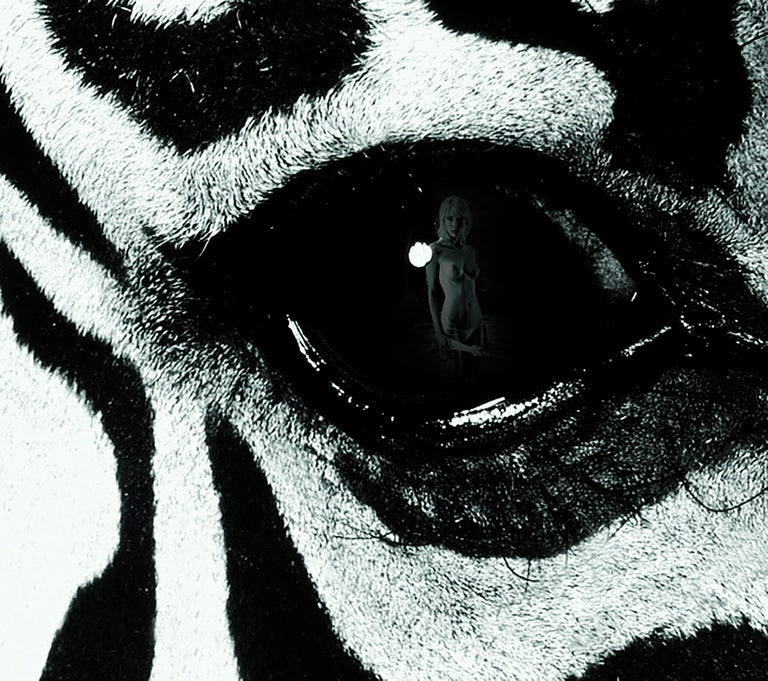 Mauricio Velez - Half Angels Half Demons - Zebra #26, Portrait l Black ...