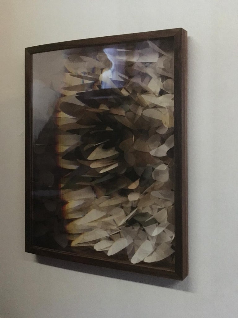 Maurizio Donzelli - Italy Mixed Media Abstract Paper Flower Assemblage ...