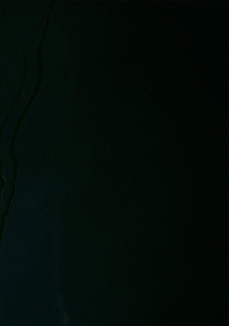 Maxi Cohen Okavango Delta Lilies 1 Limited Edition Print For Sale at ...