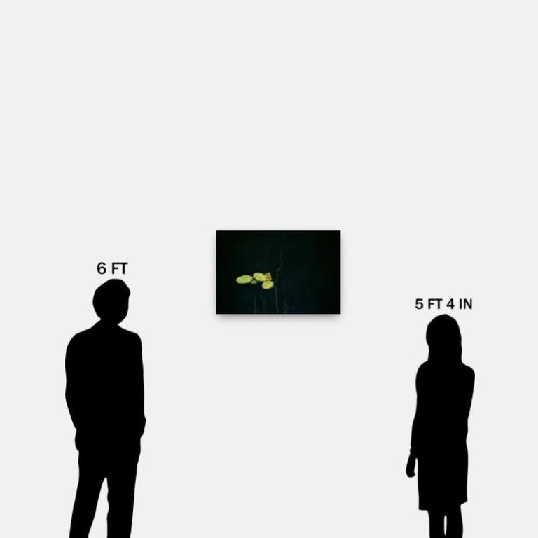 Maxi Cohen Okavango Delta Lilies 1 Limited Edition Print For Sale at ...