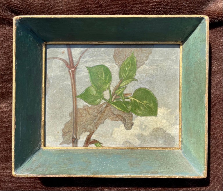 Maxwell Armfield, RWS - Leaves in Season - Spring, British Tempera on ...
