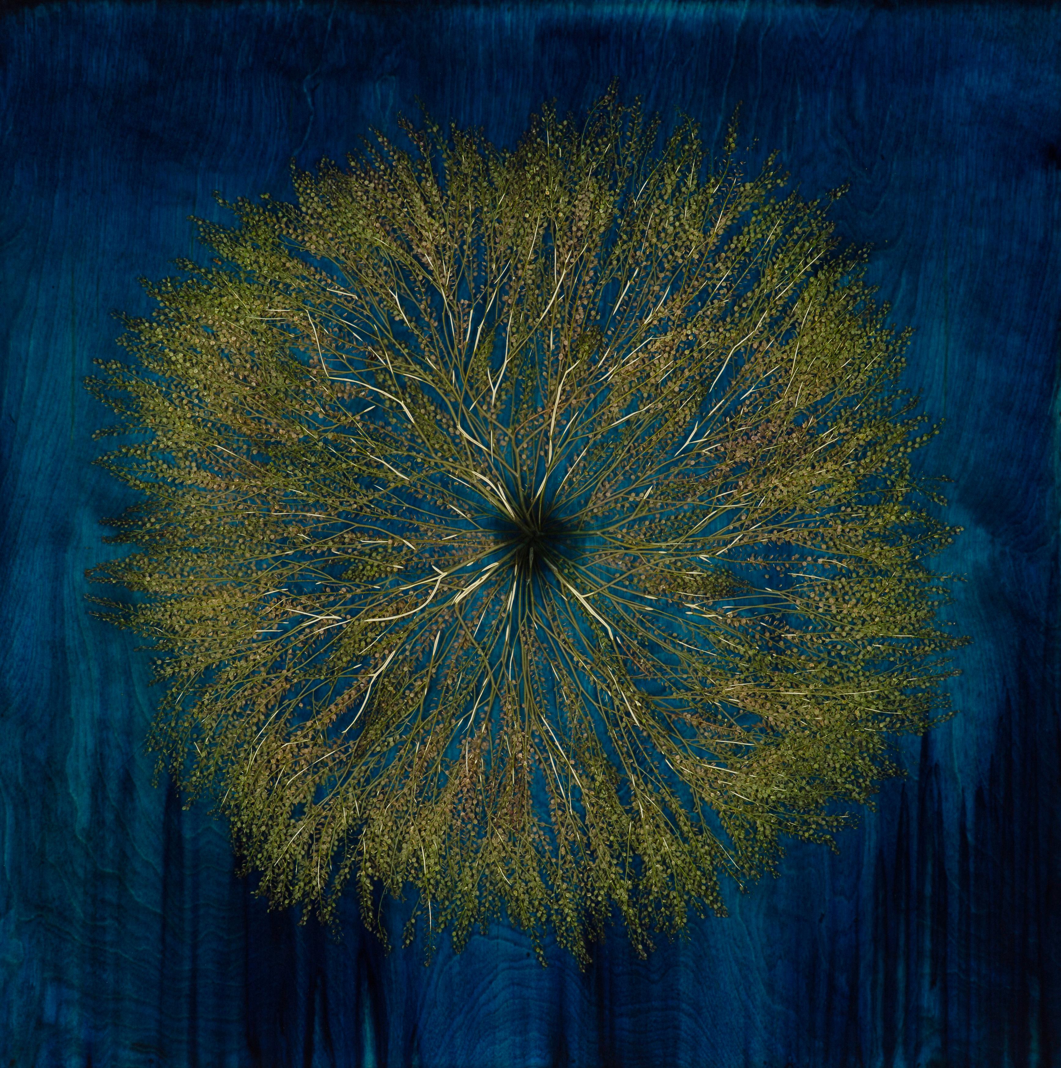 Mayme Kratz Art - 14 For Sale at 1stDibs | niina kratz art, michael ...