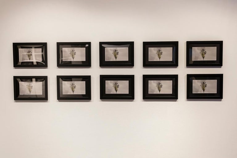 McLean Fahnestock - FRAME # 101: Original Animation Frame from Gold ...