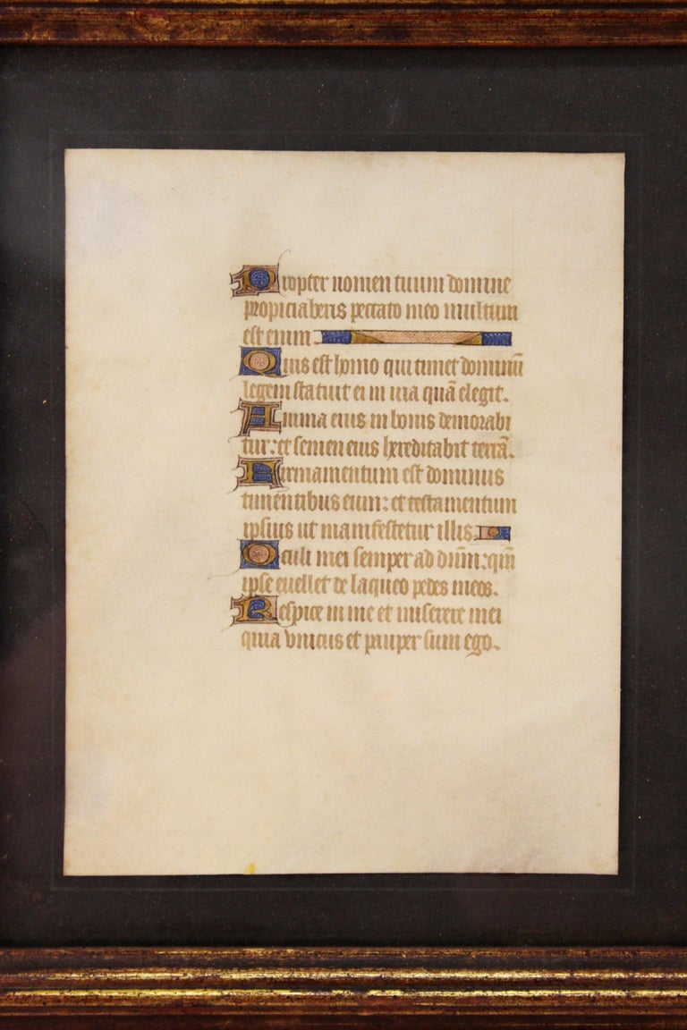 Medieval Style Illuminated Framed Latin Manuscript Page at 1stDibs ...