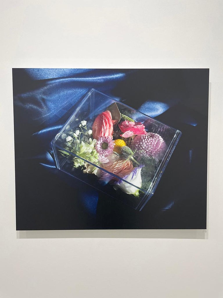 Meg Griffiths - Extended Present For Sale at 1stDibs