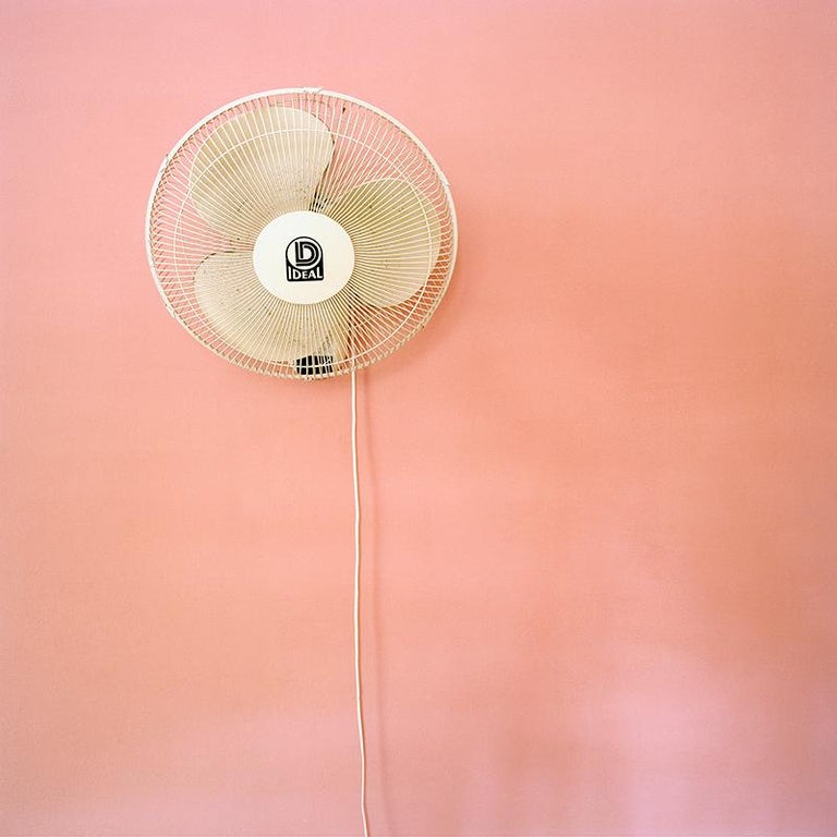 Meg Griffiths - Idéal pour une salle d'exposition en vente sur 1stDibs