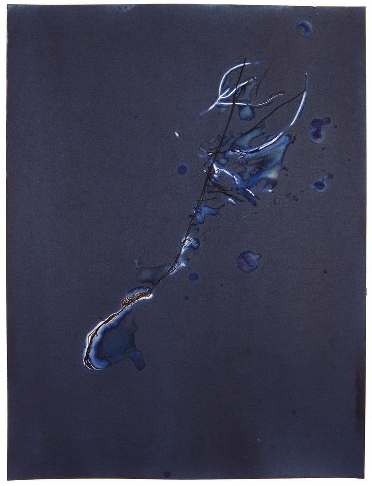 Meghann Riepenhoff - For Anna, Vol II, Plate 28, 2017 For Sale at 1stDibs