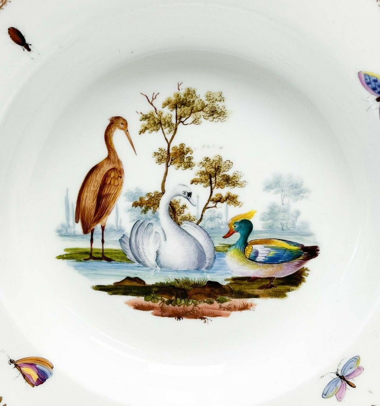Meissen Germany Hand Painted Ornithological and Insect Porcelain Rimmed ...