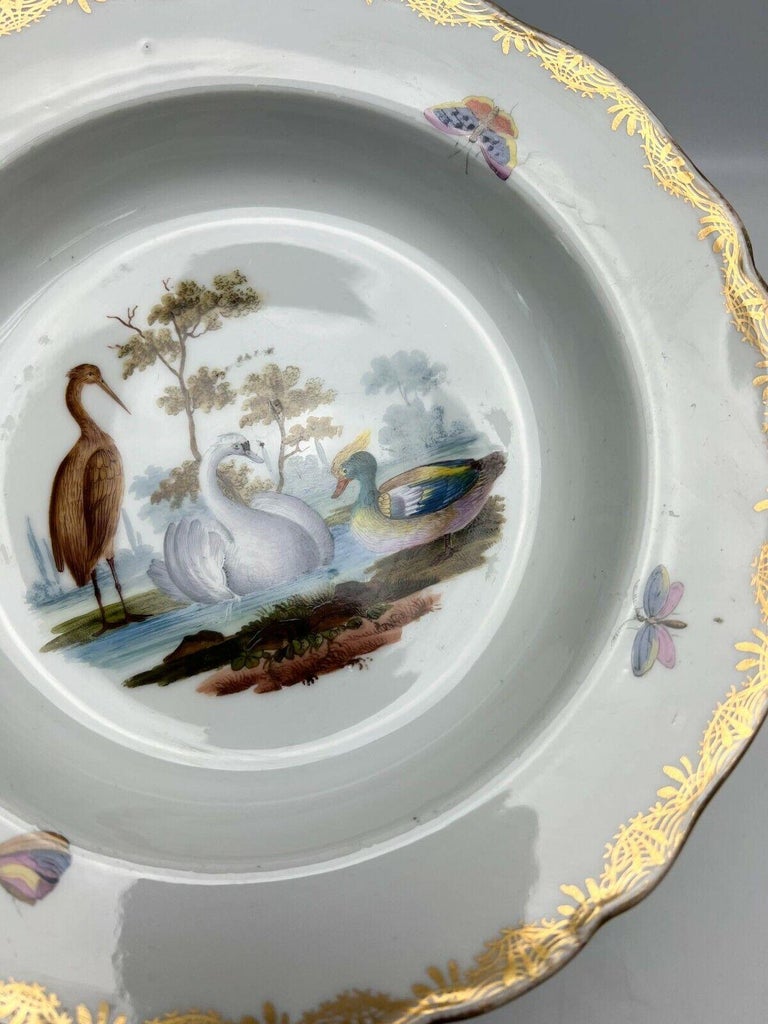 Meissen Germany Hand Painted Ornithological and Insect Porcelain Rimmed ...