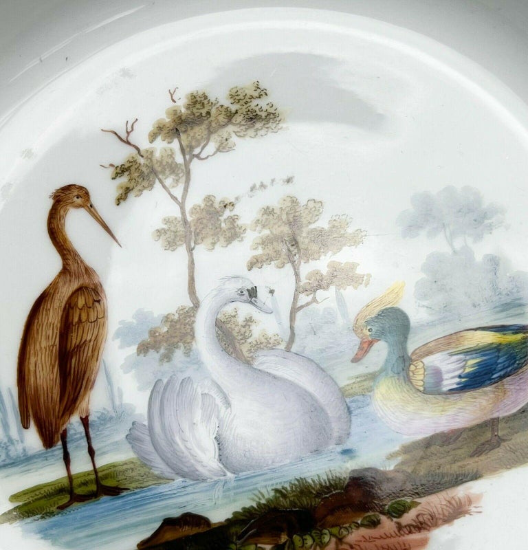 Meissen Germany Hand Painted Ornithological and Insect Porcelain Rimmed ...