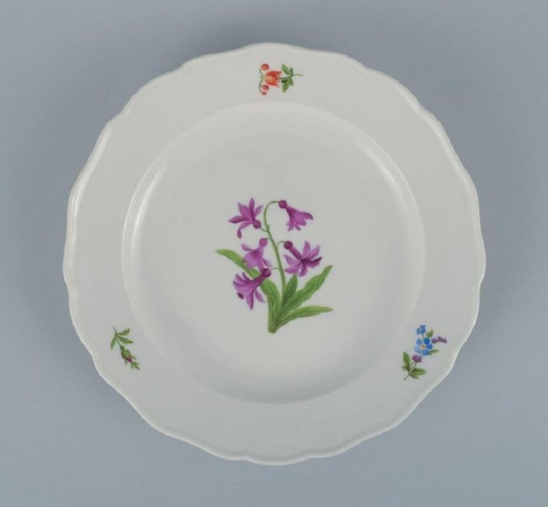 Meissen, Germany, Six Dinner Plates hand painted with Floral Motifs For ...