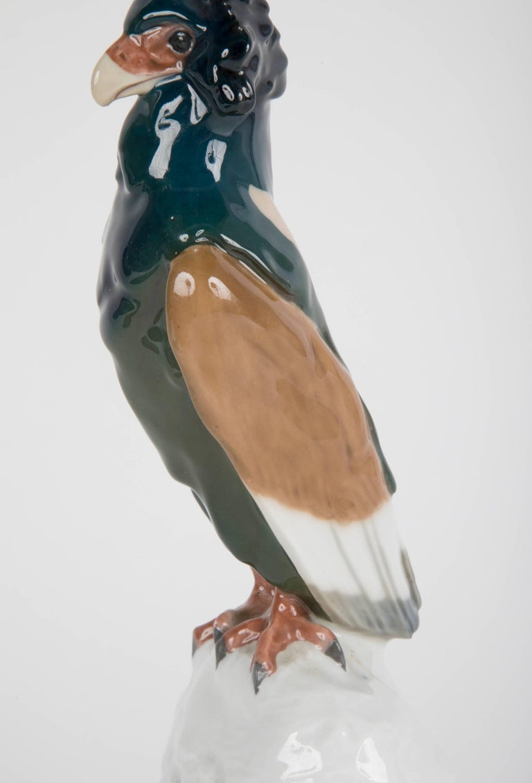 Meissen Model of a "Gaukler Adler" For Sale at 1stDibs