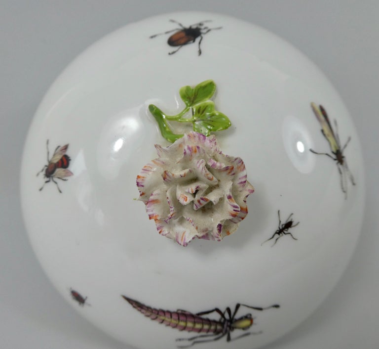 Meissen Porcelain Sucrier and Cover, Painted with Insects, circa 1740 ...