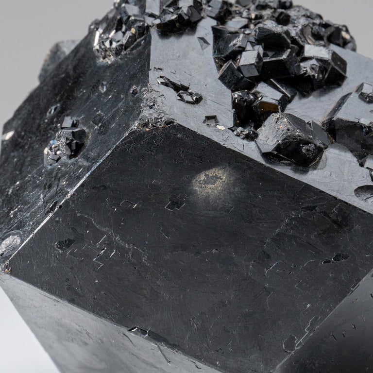 Melanite Garnet Crystal from Ojos Españoles Mine, Chihuahua, Mexico For ...