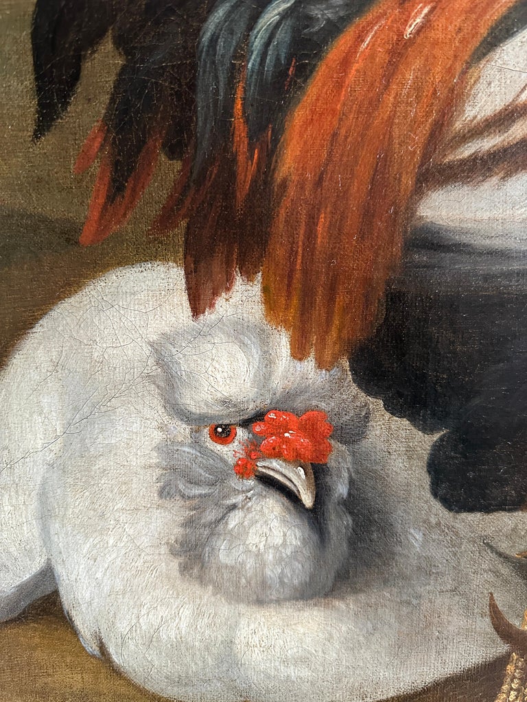 18th century painting of a cockerel, hens, chicks and other birds For ...