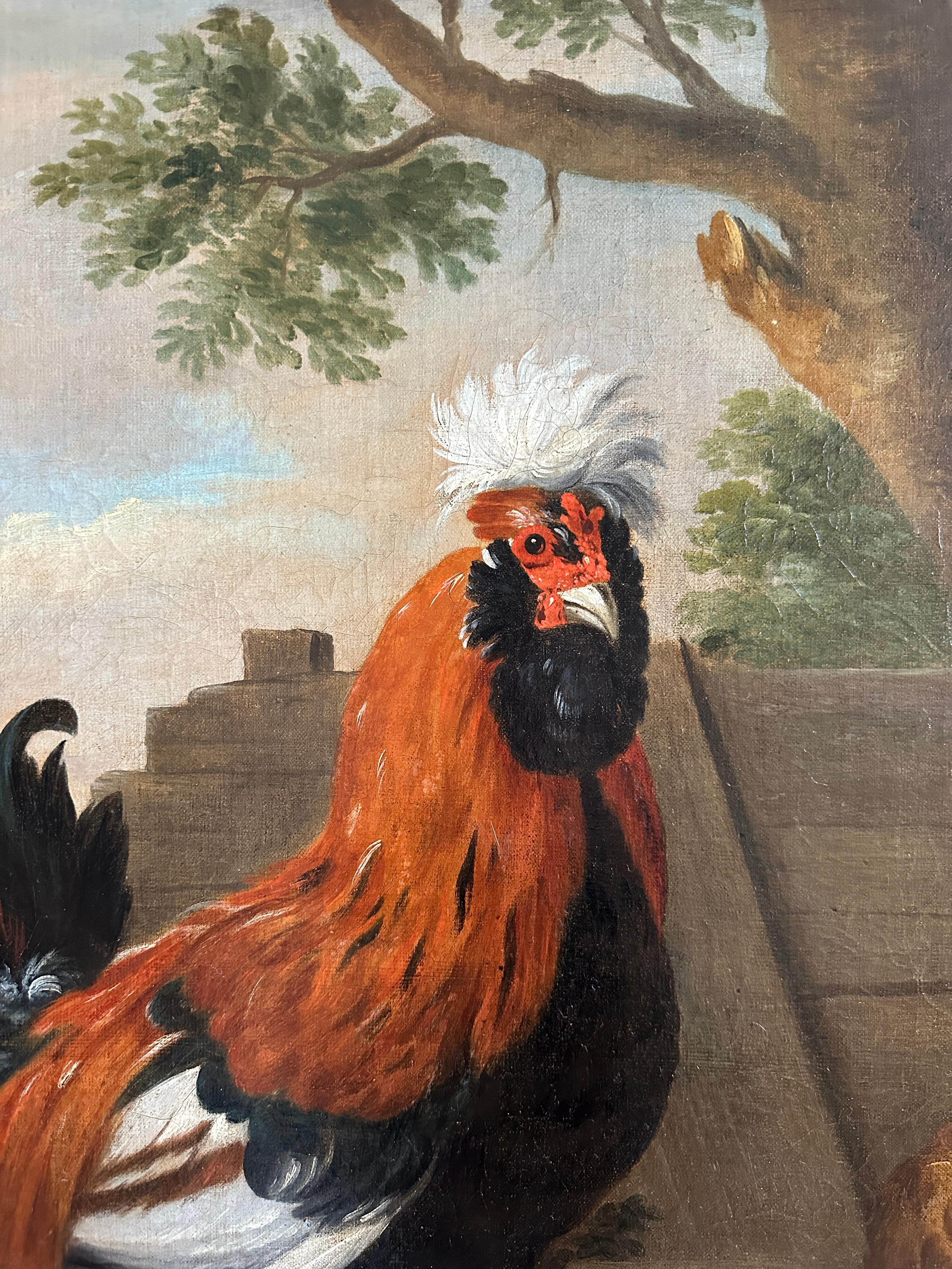 18th century painting of a cockerel, hens, chicks and other birds For ...