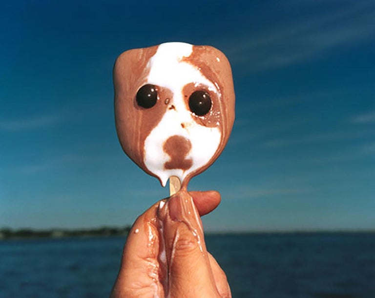 Meredith Allen - Maple Avenue (panda bear) For Sale at 1stDibs