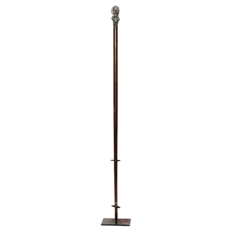 Metal handle walking stick, USA 1896. For Sale at 1stDibs