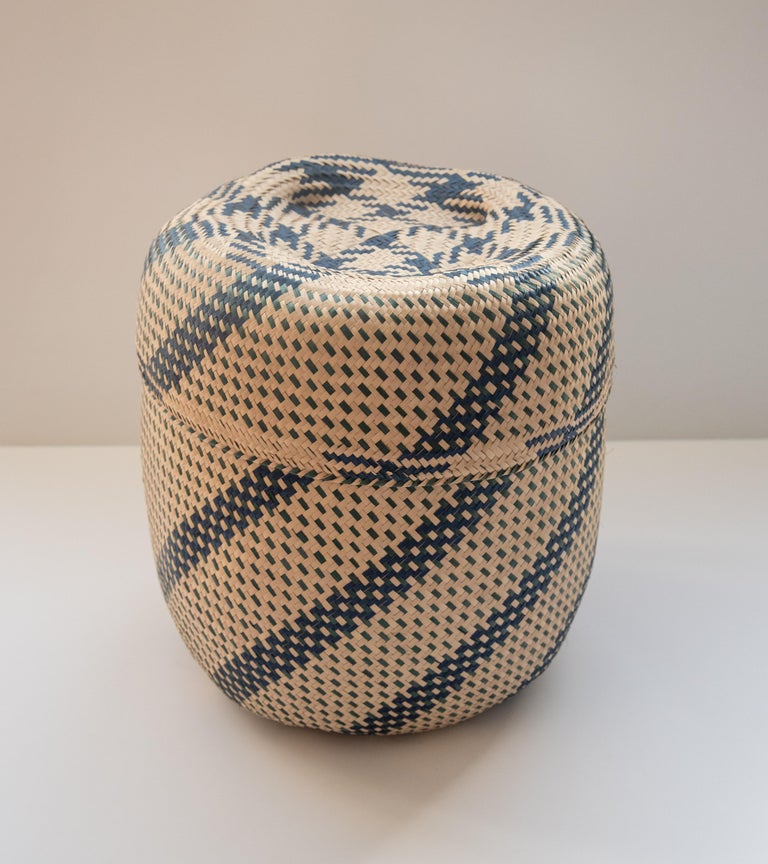 Mexican Natural Fiber Basket Made in Oaxaca Rustic Geometric Blue and ...