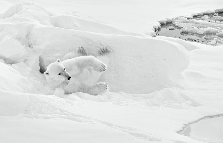 Michael Aw - Just Having Fun For Sale at 1stDibs