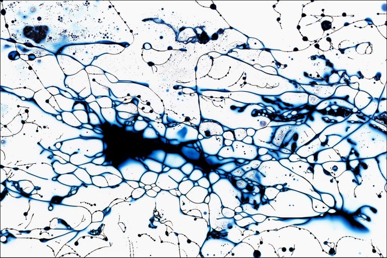 Michael Banks - Fluidity 2 -Signed limited edition pigment print, Large ...