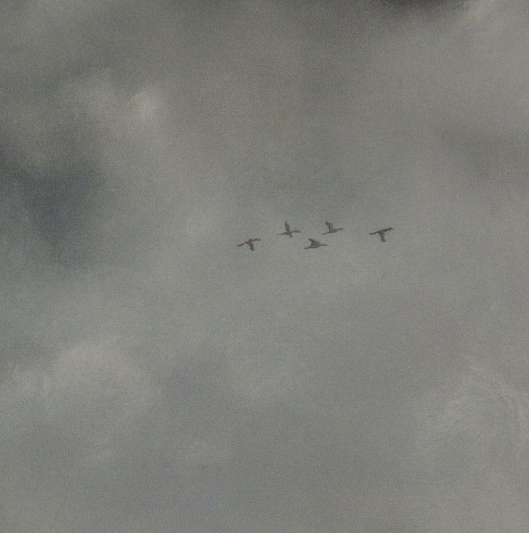 Michael Diliberto - Fly by the moon, Painting, Oil on Canvas For Sale ...