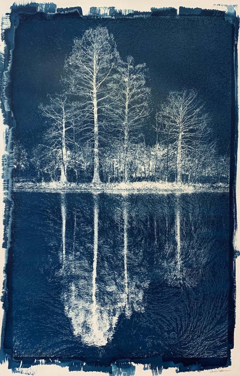 Michael Eastman - "Cyanotype 05", Contemporary, Photography, Printed ...