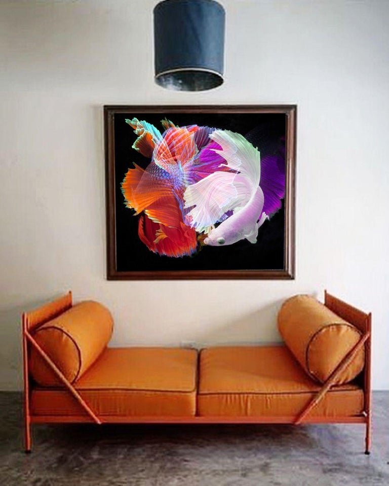 Michael Filonow - Betta Collage 59, Photograph, Archival Ink Jet For ...