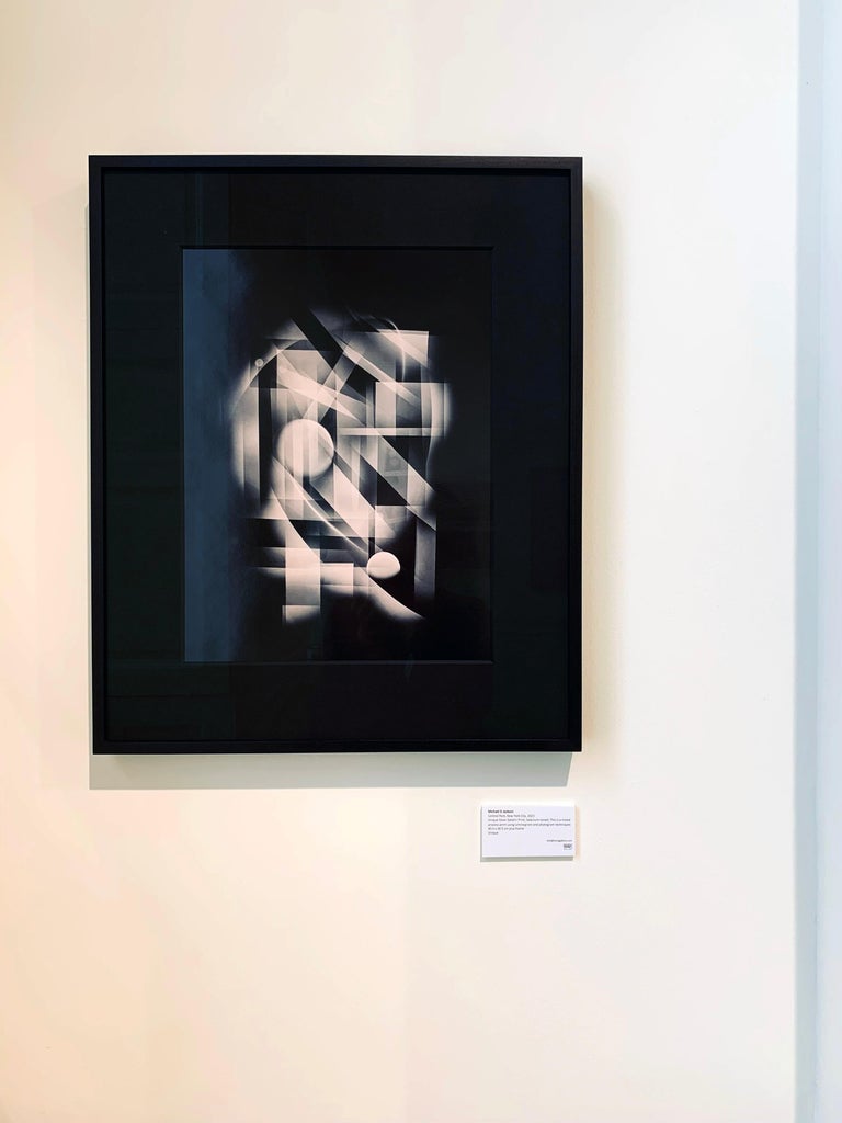 Michael G Jackson - Central Park, New York City - Unique Luminogram ...