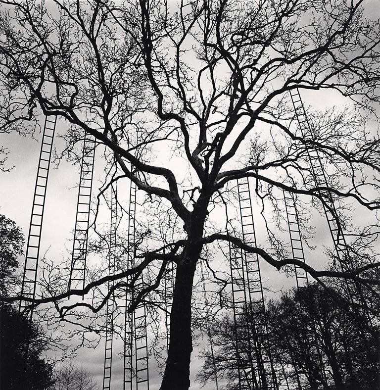 Michael Kenna - Domaine de Chaumont-sur-Loire, Study 4, France For Sale ...