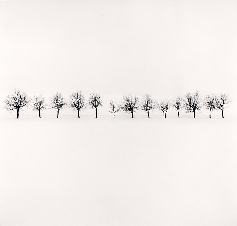 Michael Kenna - Fourteen Trees, Higashikawa, Hokkaido, Japan For Sale ...