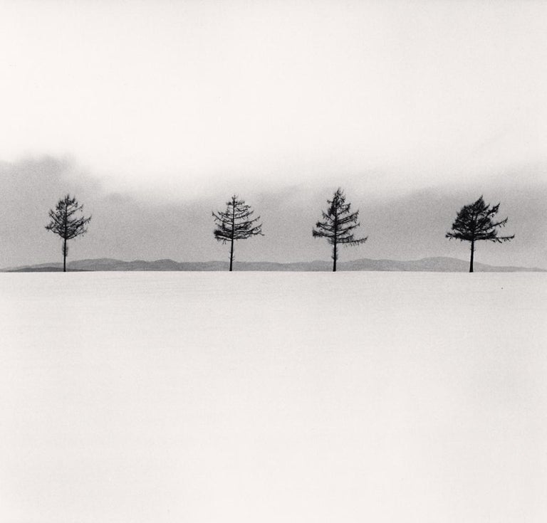 Michael Kenna - Kurosawa's Trees, Study 3, Memanbetsu, Hokkaido, Japan ...