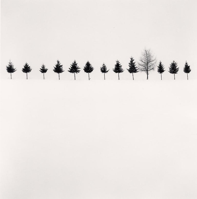 Michael Kenna - Line of Trees, Biei, Hokkaido, Japan For Sale at ...