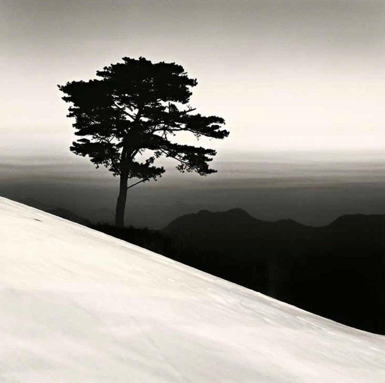 Michael Kenna - Mountain Tree, Study 1, Danyang, Chungcheonbukdo, 2011 ...