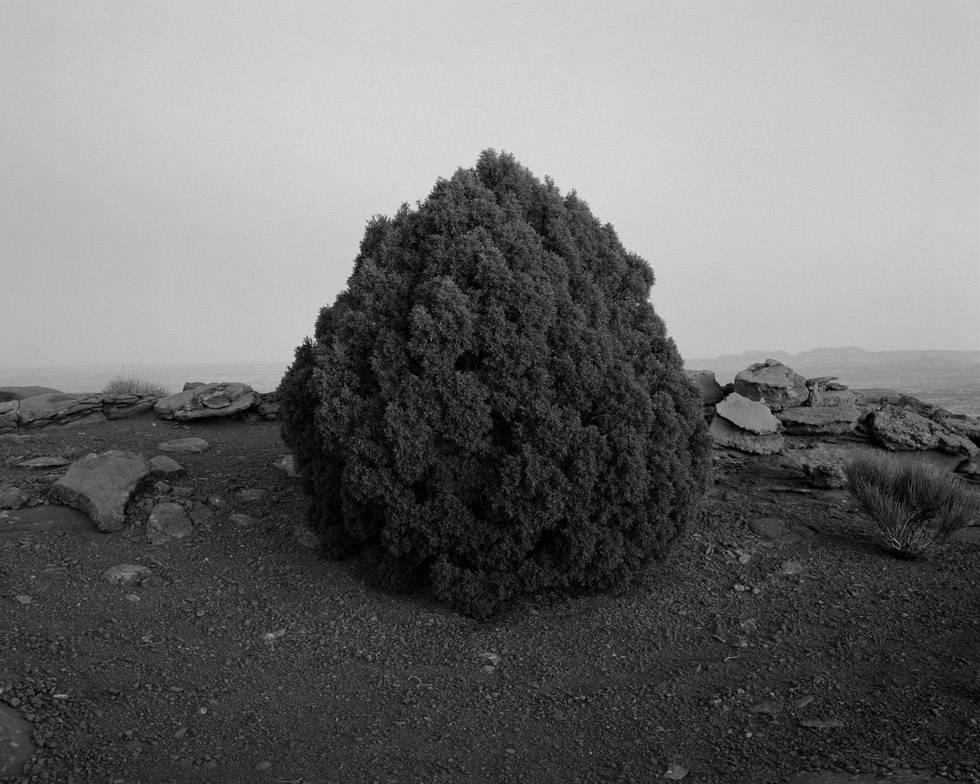 Michael Lundgren - Untitled (Water) For Sale at 1stDibs