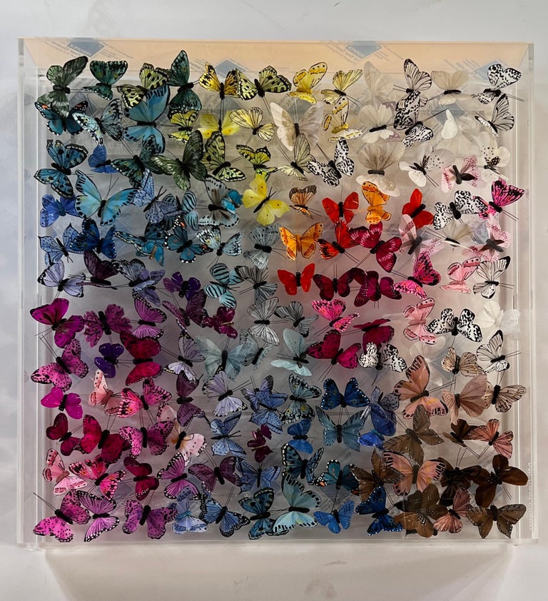 Michael Olsen - Wychwood White, Butterfly Artwork, 3D Contemporary ...