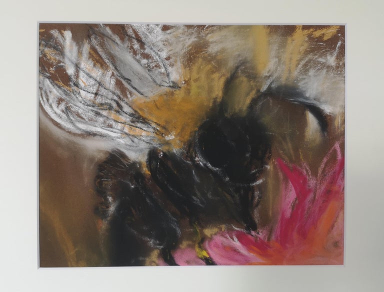 Michael Schoch - Common carder-bee / Bourdon des champs For Sale at 1stDibs