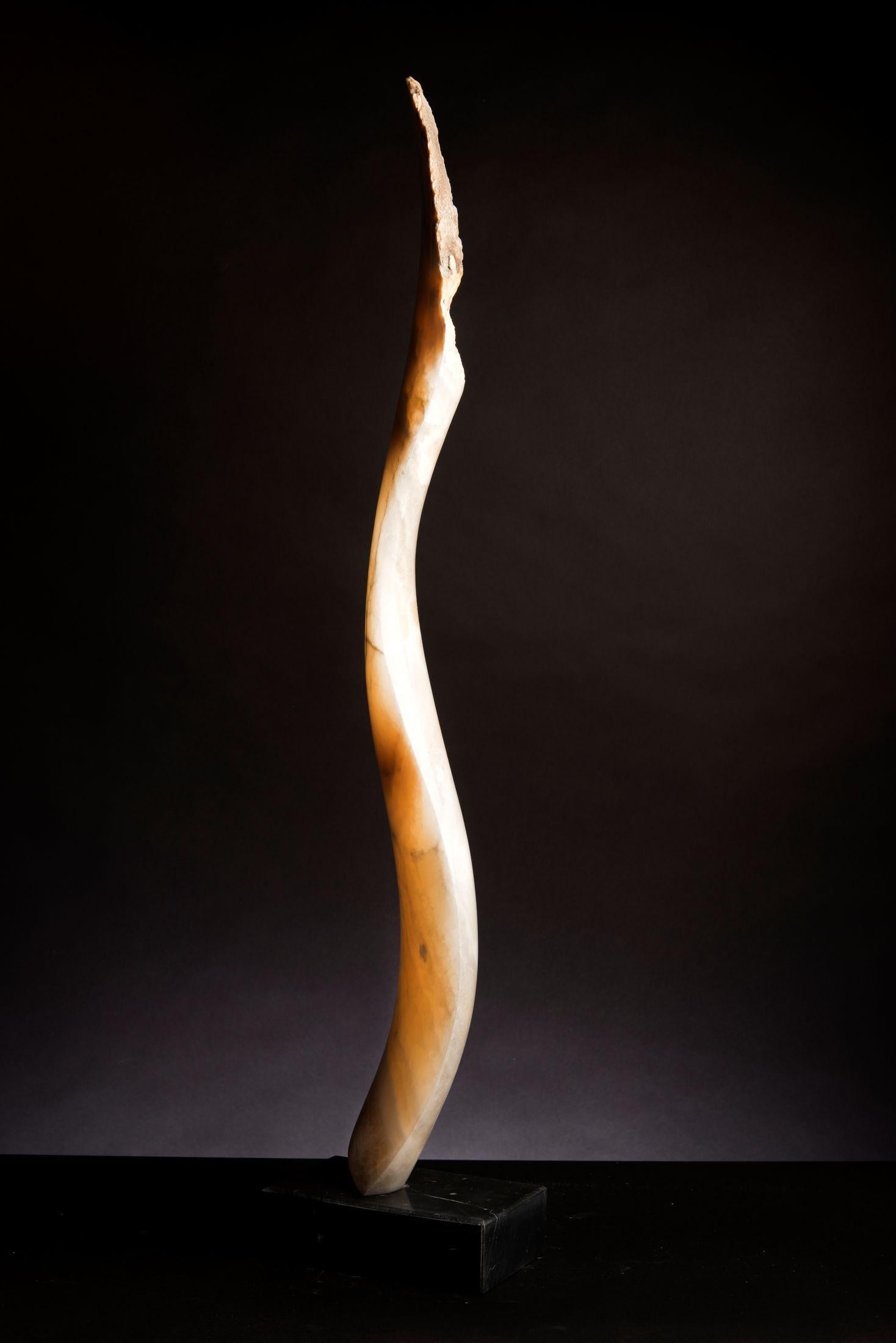 Michael Thacker - Murmur at 1stDibs