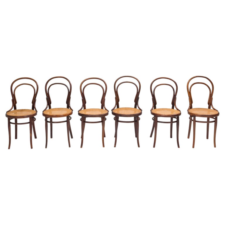 Michael Thonet No. 14 Bentwood Dining Chairs, Set of 6, Circa 1900 For Sale at 1stDibs