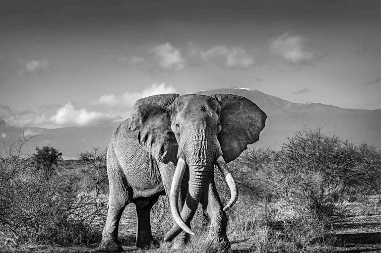 Michel Ghatan - Face to Face For Sale at 1stDibs